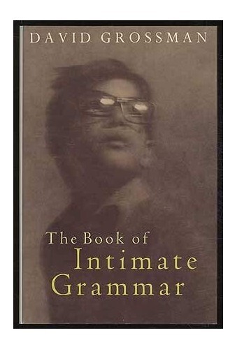 The Book of Intimate Grammar by Grossman, David Hardback Book The Fast ...