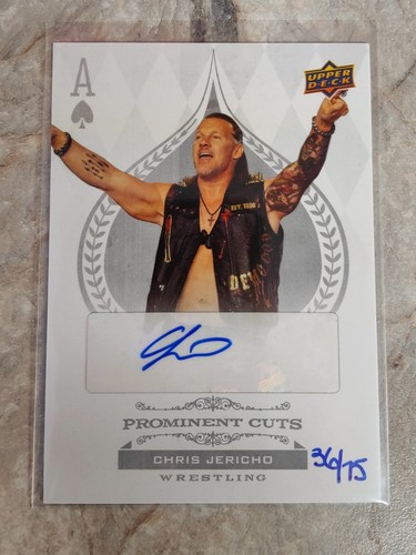 Upper Deck Chris Jericho AEW Prominent Cuts Autograph Auto NSCC 36/75 ...