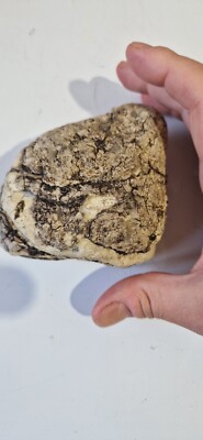 Ambergris. Real ambergris 205gr. Tested. Found in Scotland | eBay UK