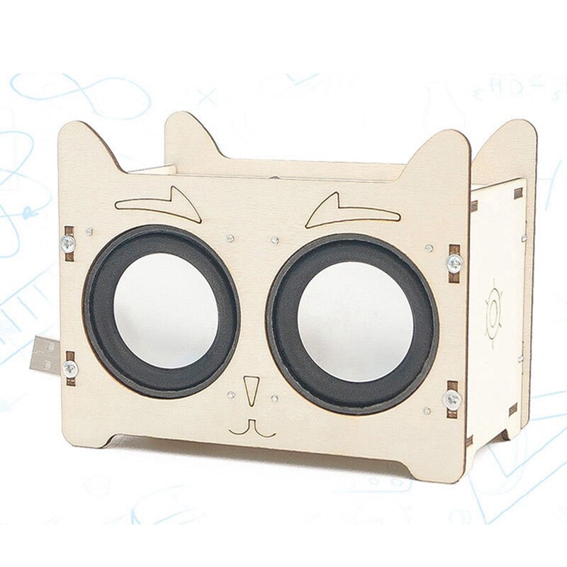 DIY Bluetooth Speaker Fun Science Small Making Material Kit DIY ...