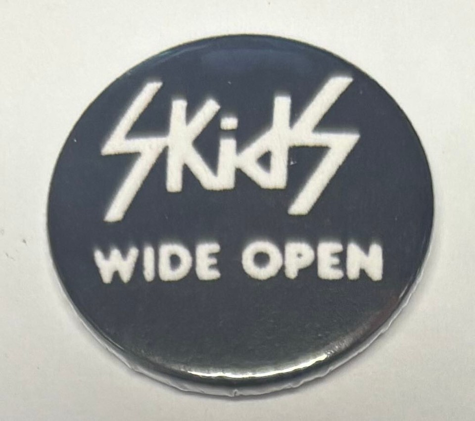 THE SKIDS - SINGLES COLLECTION 2 X CD SET *IN STOCK NOW + FREE Button ...