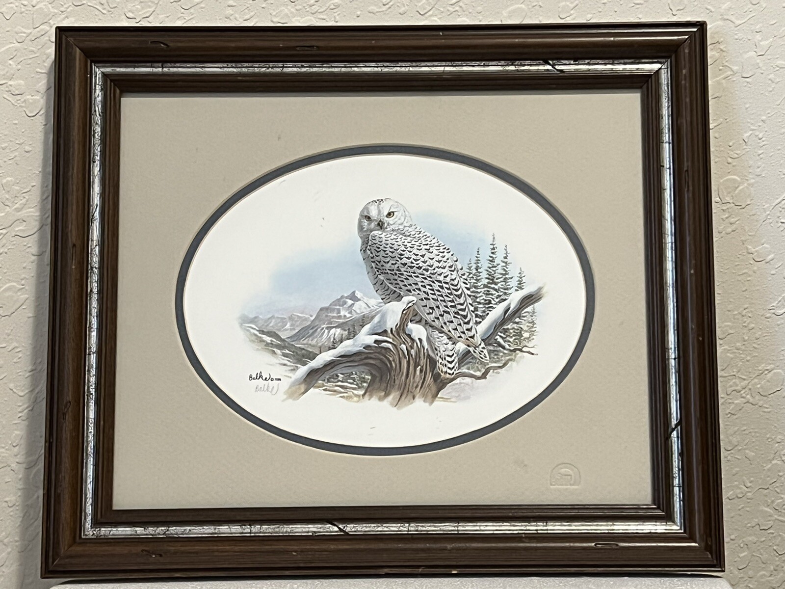 Don Balke Signed Snowy Owl Framed Lithographic Print | eBay