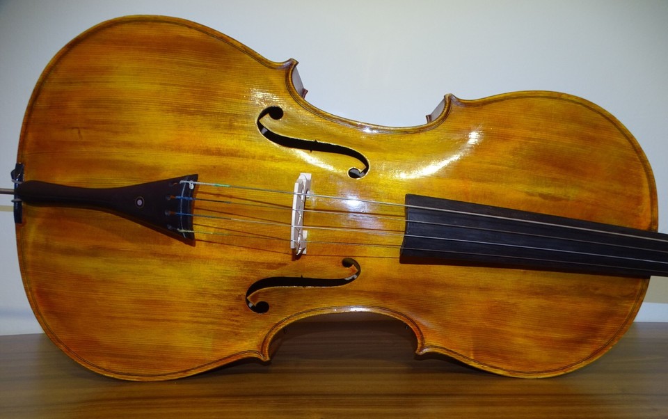 BEAUTIFUL OLD CELLO labelled JEAN BAPTISTE VUILLAUME - with history ...