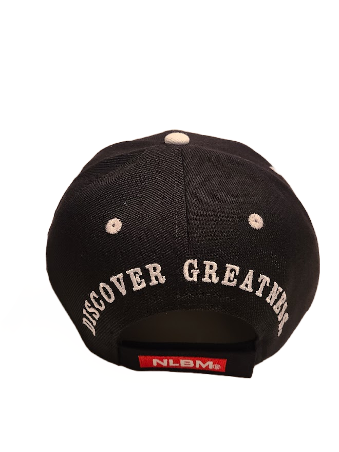 Vintage Birmingham Black Barons Negro league Baseball Hat Negro League ...