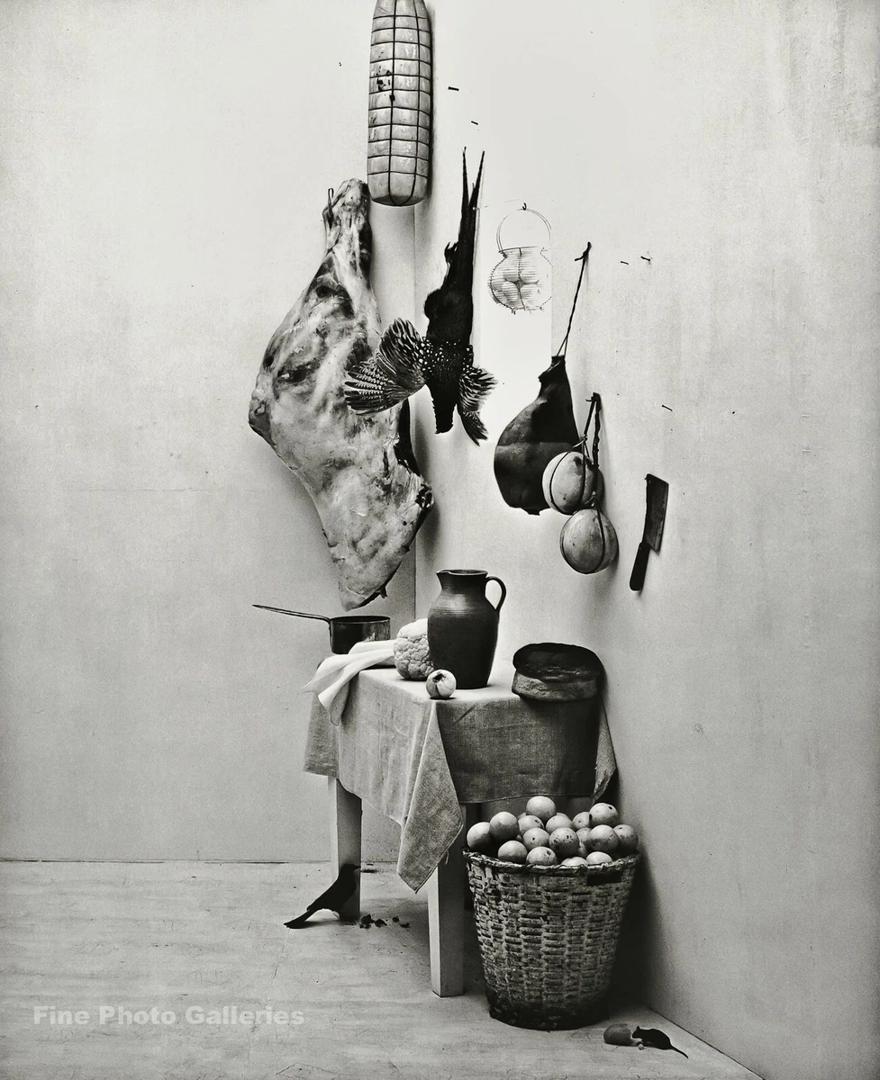 Irving Penn Black And White Still Life