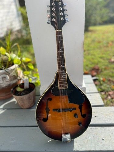 Fender FM-52E Acoustic Electric Mandolin great condition | eBay