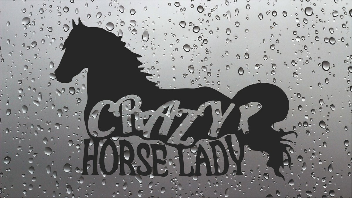Crazy Horse Lady Memes I'm The Crazy Horse Lady Funny Aluminum Yard