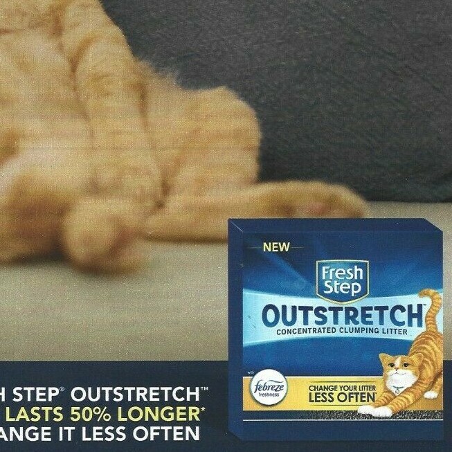 Fresh Step Cat Litter Print Ad, Cat Litter Ad, Cat Ad, Red Tabby Cat ...