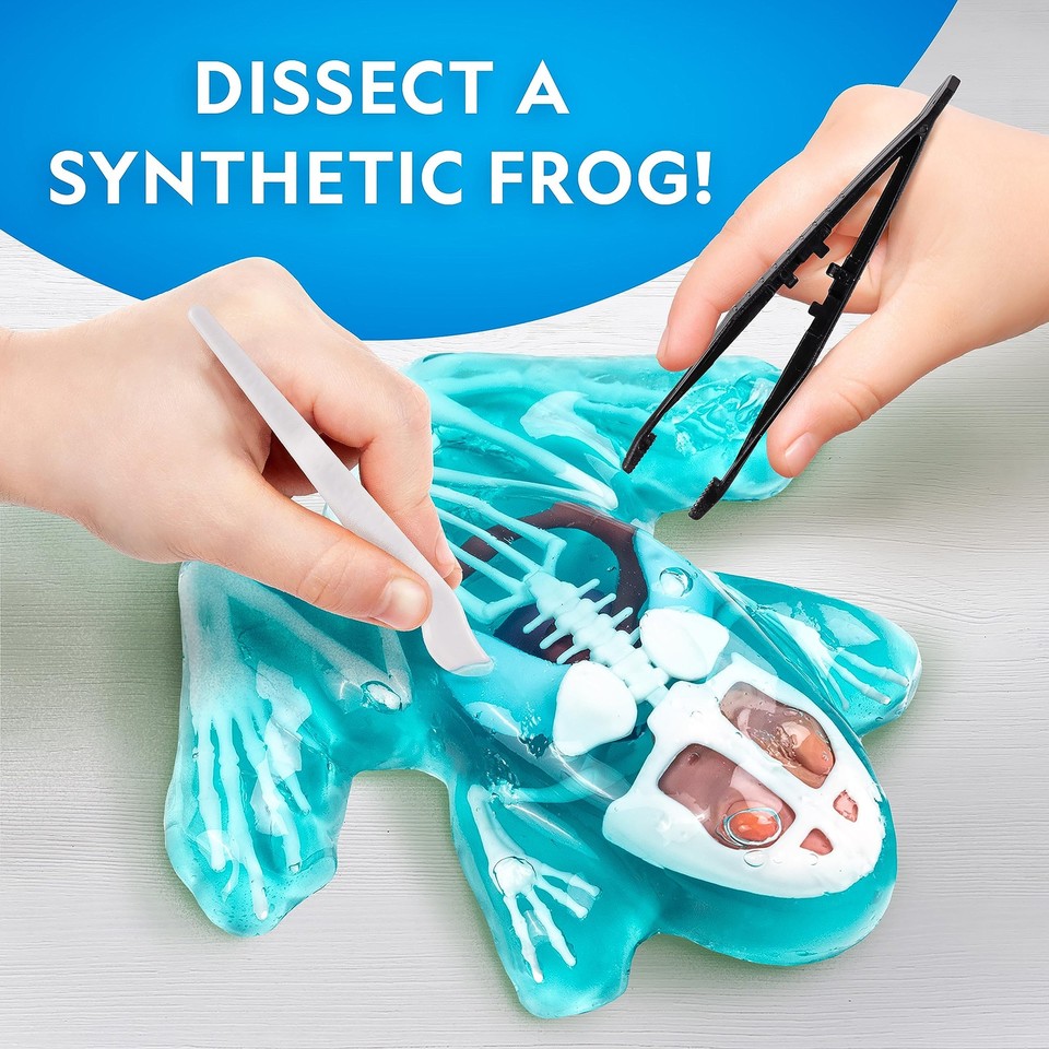 NATIONAL GEOGRAPHIC Frog Dissection Kit Anatomy Lab - Glow in the Dark ...