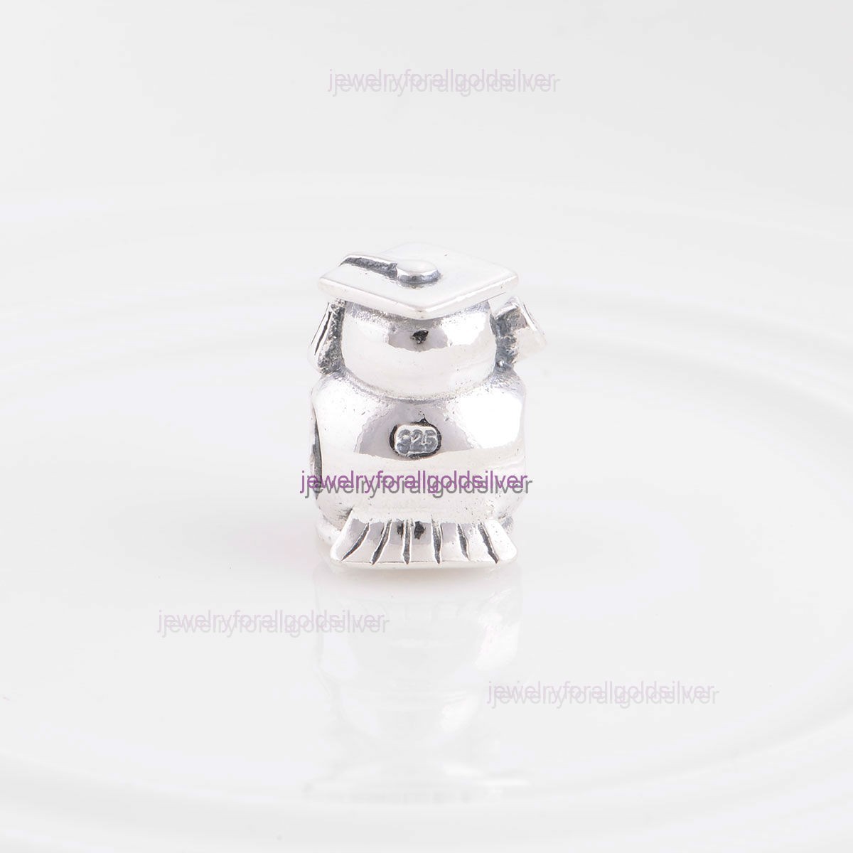 Sterling Silver 925 European Charm Study Owl Graduation Hat & Diploma ...