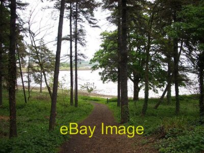Photo 6x4 Bathing House Wood Dalgety Bay/NT1583 Looking along the Fife ...