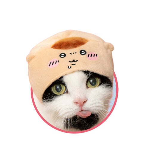 Chikawa Cat Cute Kawaii Neko Dress Up Hat Kitan Club Costume Hat | eBay