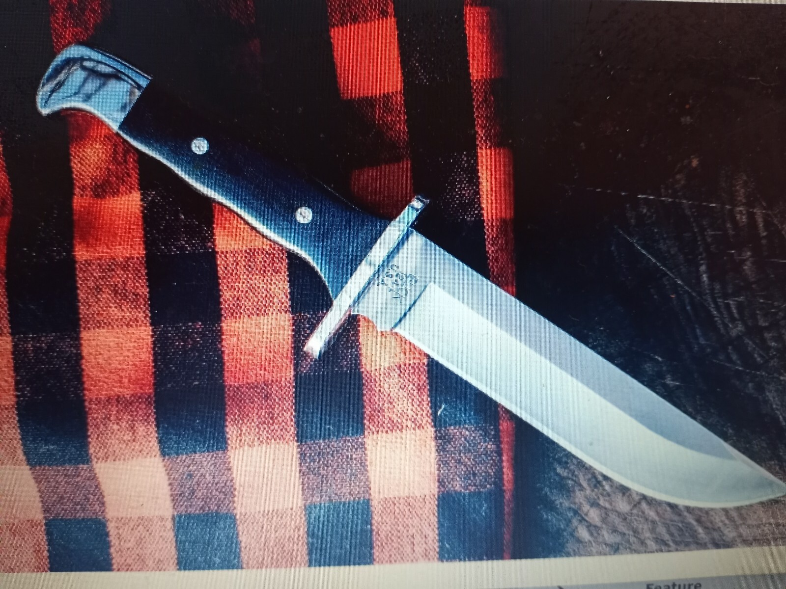 Buck Knives 124 Frontiersman Fixed Blade Knife - 0124BKSLEB for sale ...