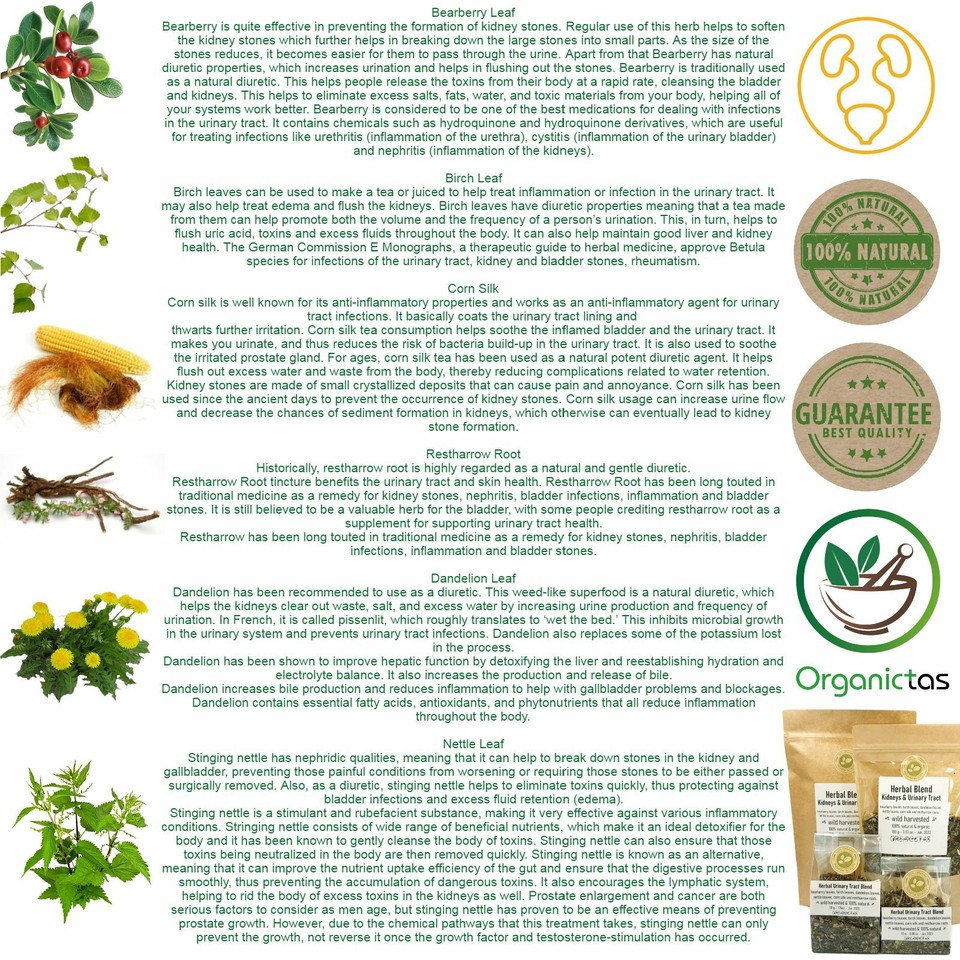 Kidney Tea 6 Herbs Stone Breaker, Urinary Tract Health, Diuretic ...