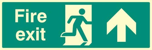 Sign Fire Exit Straight On Glow Personal Protection & Site Safety ...