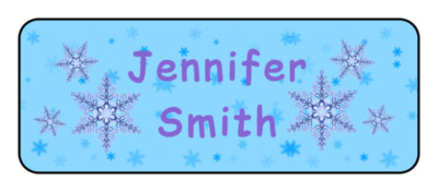 30 personalized winter, frozen name tag stickers, tags, school supply ...