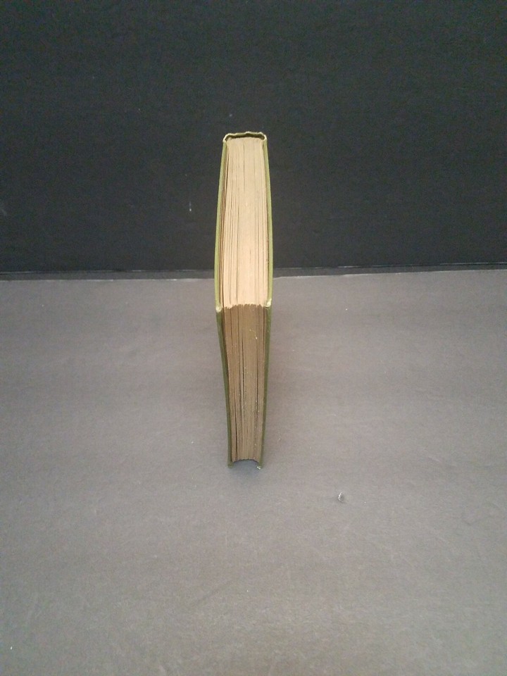 On a Sunshine Holyday by An Amateur Angler 1897 Original Fly Fishing ...