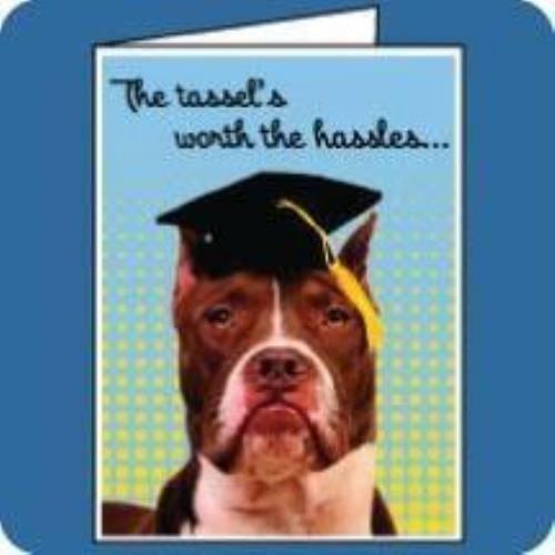 Graduation Pit Bull Card - 3' Standard Card | eBay