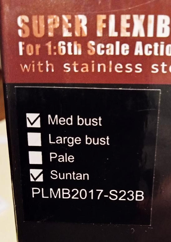 1/6 Supergirl Helen Slater custom figure | eBay