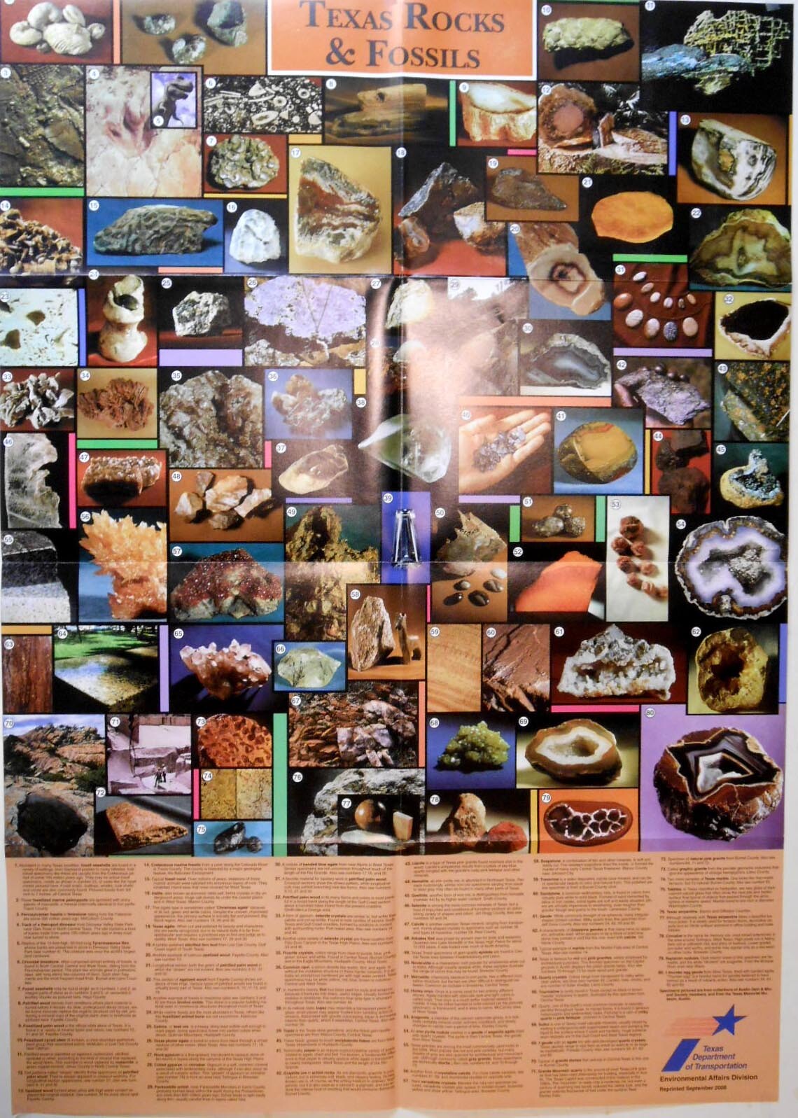 Poster-Texas Rocks & Fossils - Geodes Palm Wood Agates Llanite Tektites ...