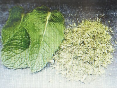Menthe verte séché pour infusion ou épice | eBay