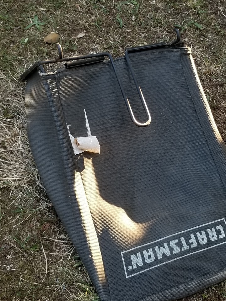 CRAFTSMAN LAWN MOWER REAR BAG GRASS CATCHER | eBay