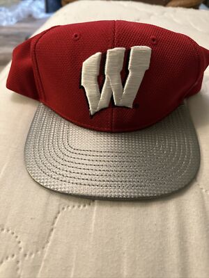 wisconsin badgers snapback hat | eBay