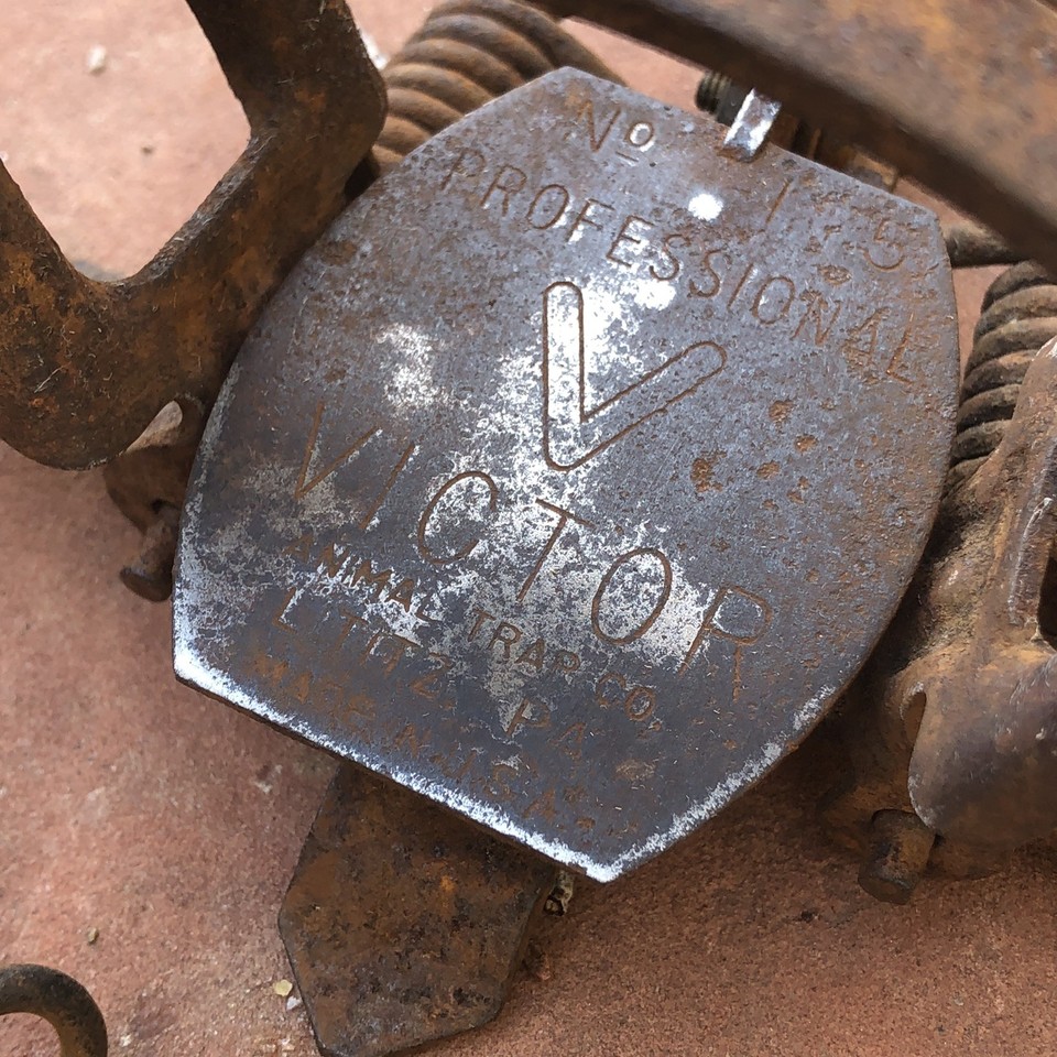 Vintage (2)Victor 1.75 Coil Spring (1 ) Montgomery #2 Step InFoothold ...