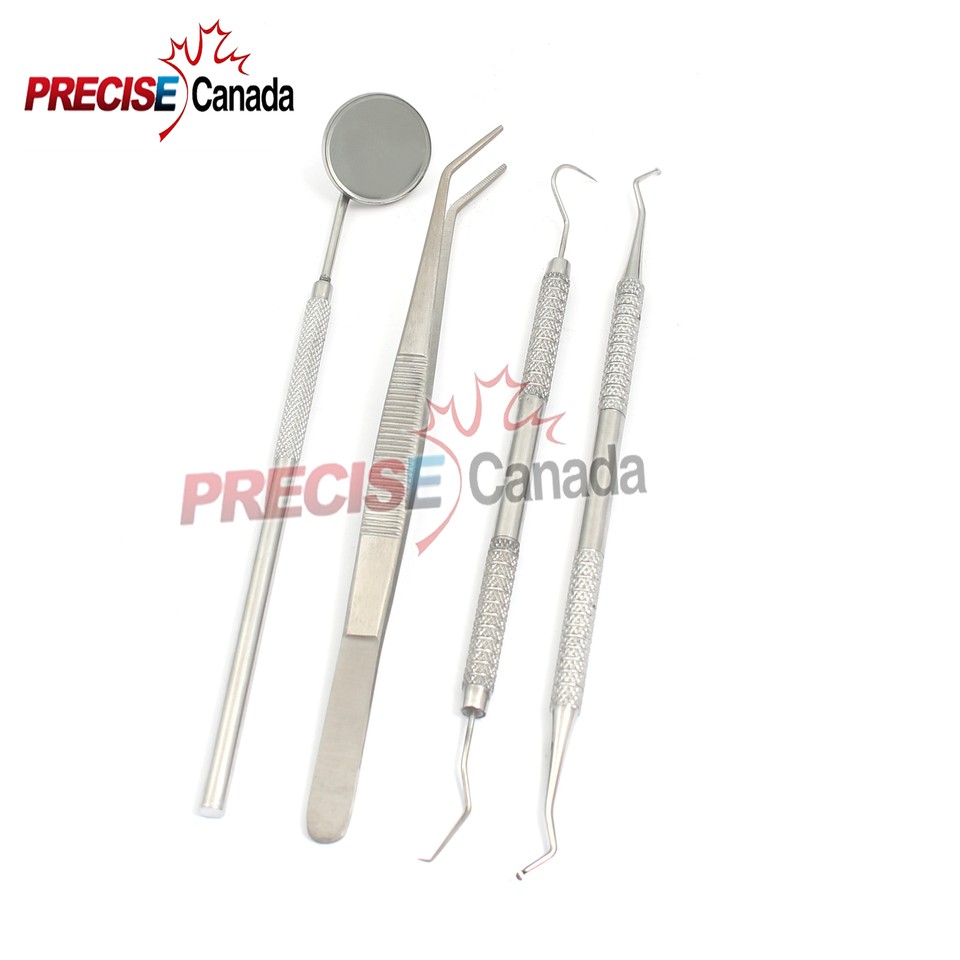 4 PC SET DOG TEETH CLEANING TOOL DENTAL PICK PROBES NEW, PR-0026 | eBay