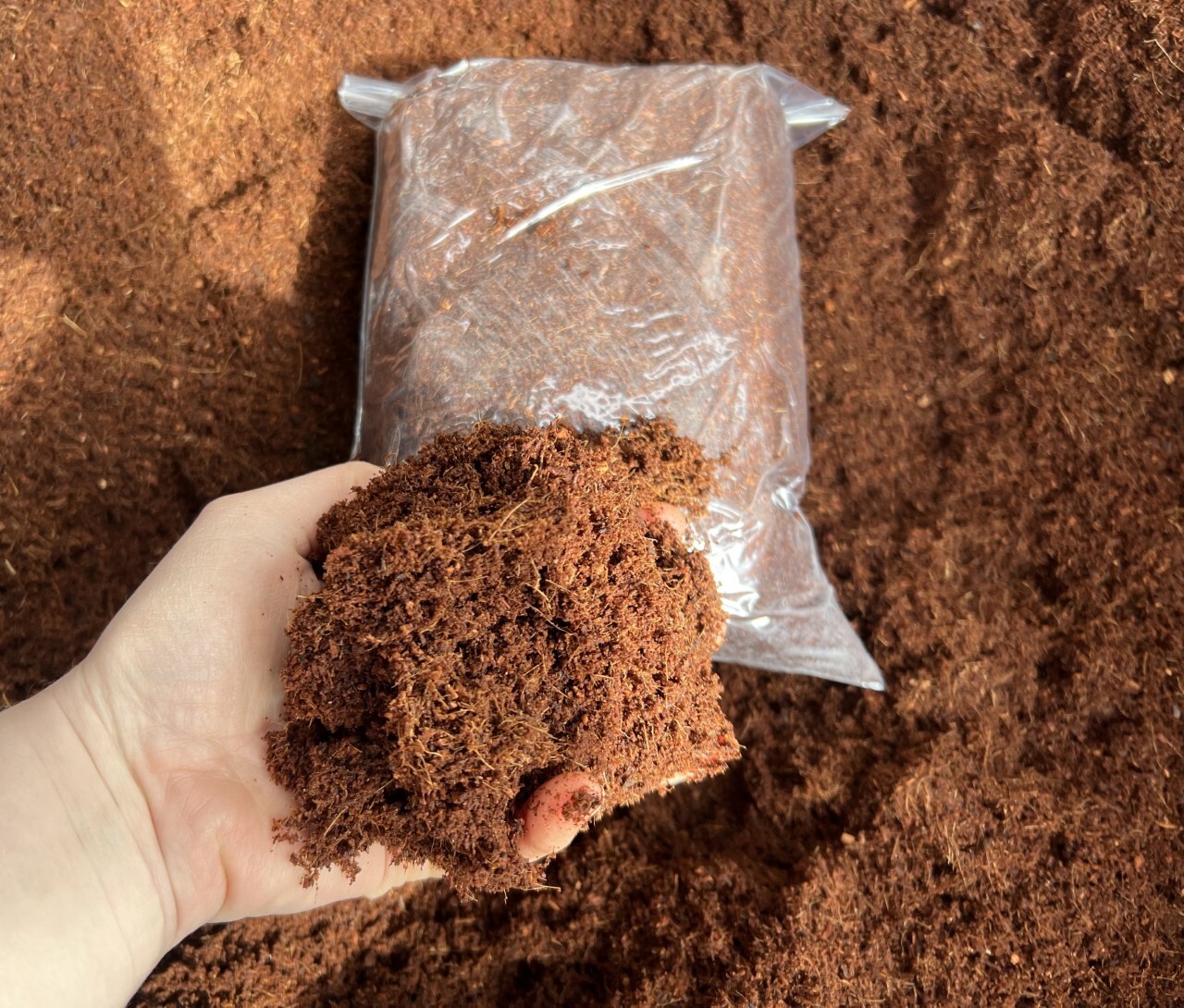 Coir substrate bedding, Tortoise soil, Snail, Reptile, Spider, vivarium ...