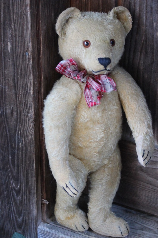 Rare antique original Bing Teddy Bear 1920s w voice 20" & vintage Toy ...