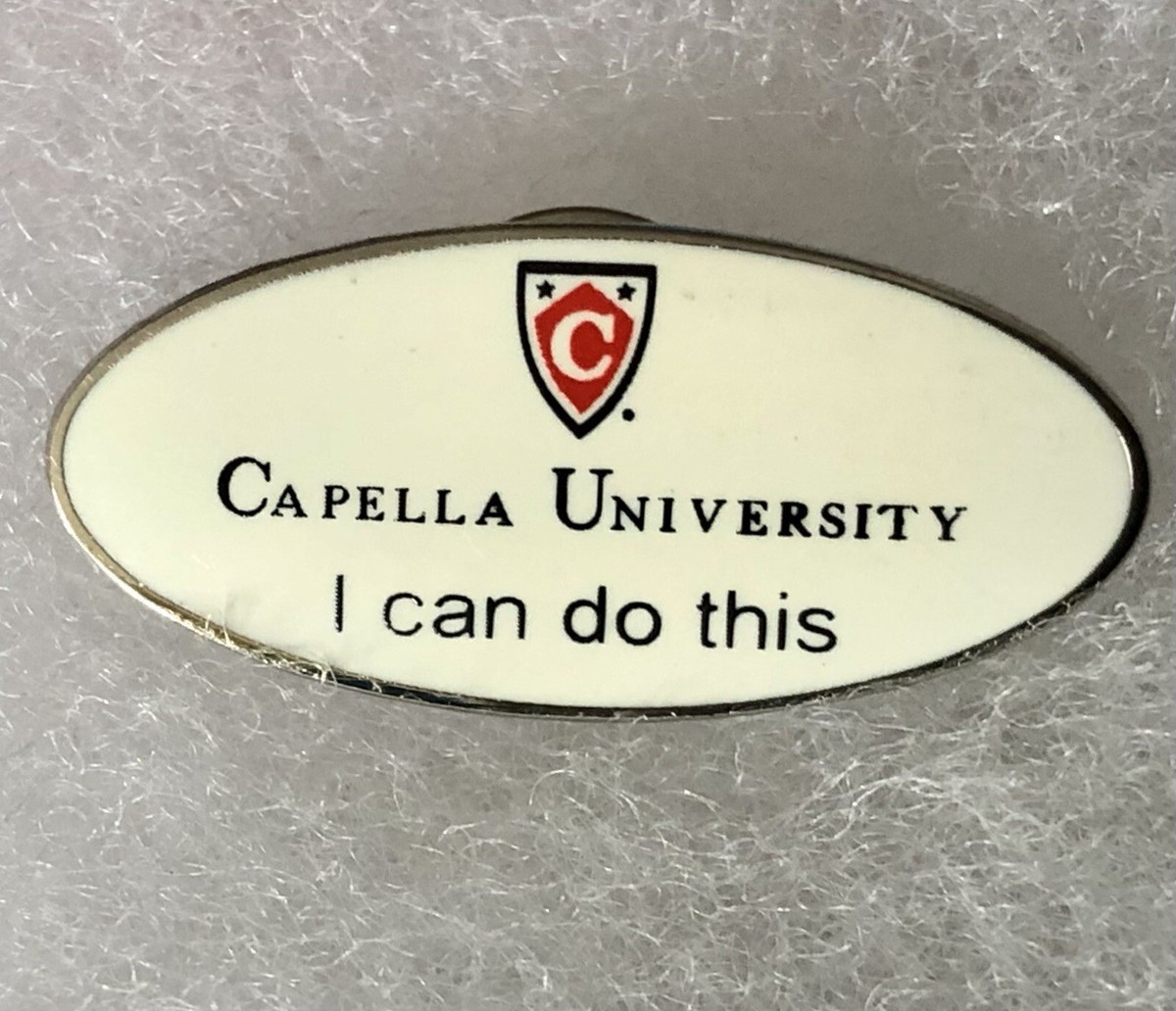 Capella University Logo 2020 Best Online Bachelor's In Healthcare