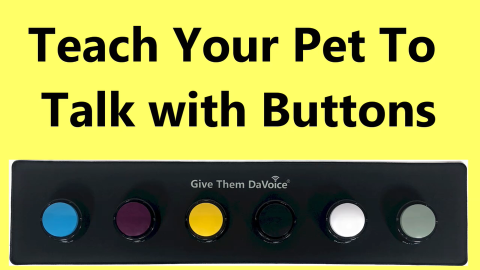 Dog Buttons for Communication Board, Sound Buttons, Recordable Buttons ...
