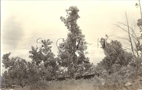 WWII US Large RPPC- Artillery Cannon Camouflaged- 90mm AA Gun- 62nd ADA ...
