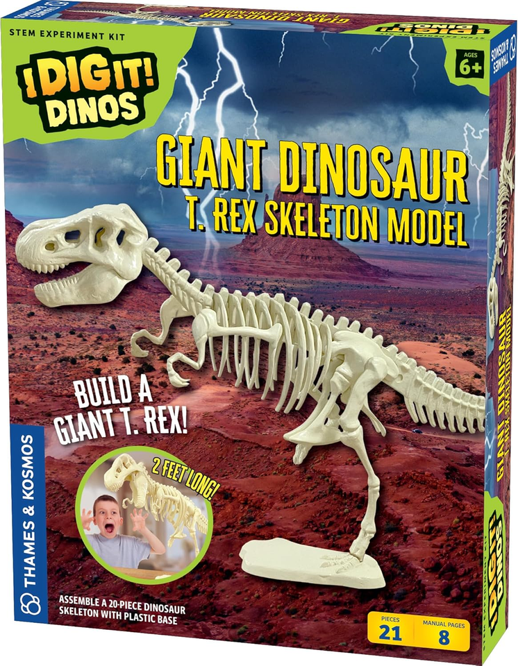 Giant Dinosaur: T. Rex Skeleton Model | STEM Activity | Build a 26-In ...