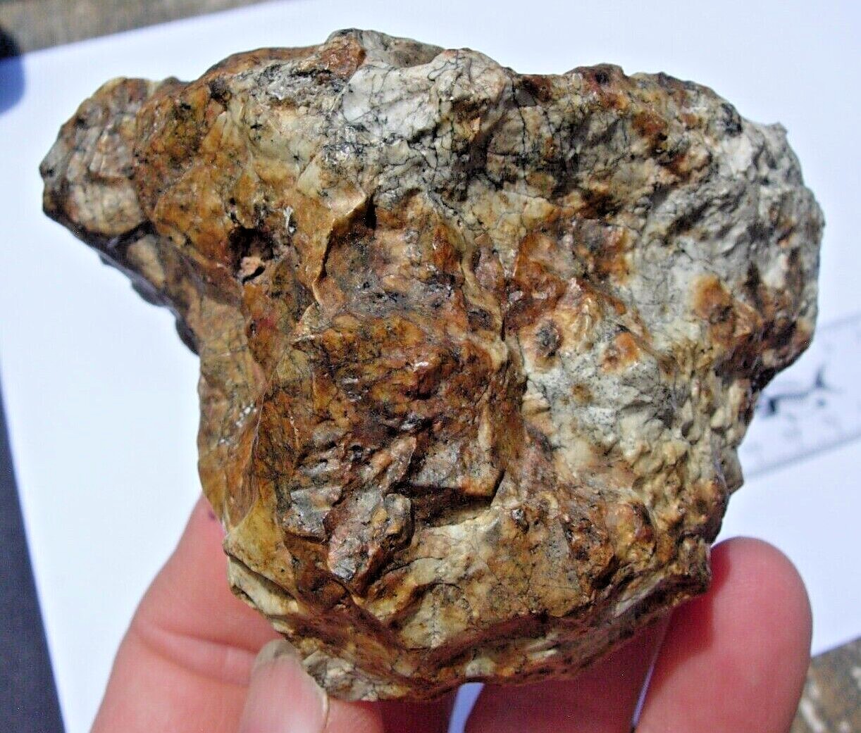 332 grams DJOUA 001 Enstatite achondrite Meteorite (Aubrite) as found ...