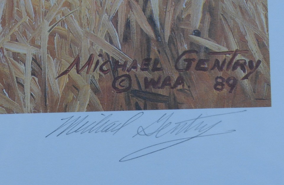 Rare Vintage Michael Gentry "Guardians of the Plains" Artist Proof 1/ ...