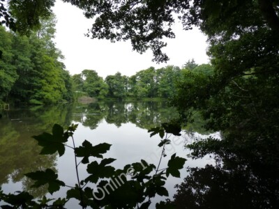 Photo 6x4 Brim Pool Lower Forge/SO7389 One of a series of landscaped ...