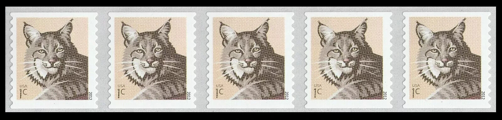 US Bobcat 1c Stamp Coil Strip of 5 Scott #4672 | eBay