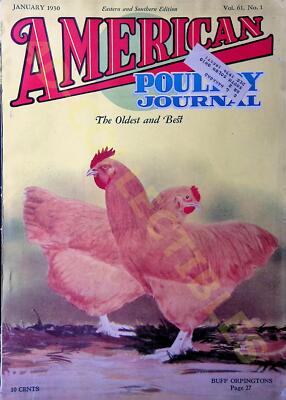 Vintage American Poultry Journal Magazine January 1930 | eBay