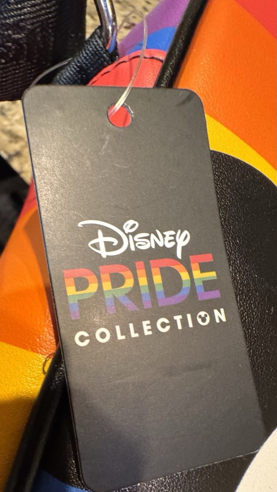 Disney Mickey Mouse Gay LGBTQ+ Rainbow Gay Crossbody Bag Mint Rare ...