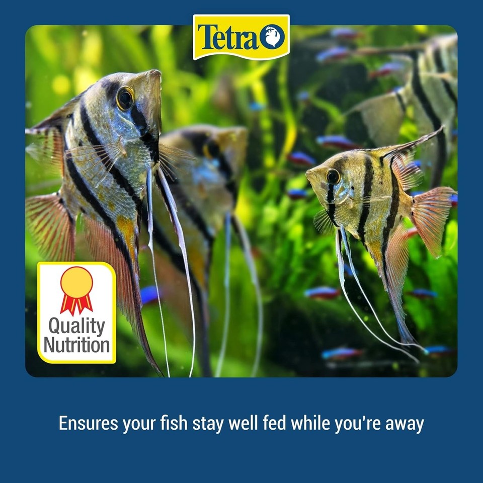 Slow-Release Fish Food for Tropical Fish Weekend and Vacation Feeder ...