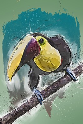 COSTA RICA *2X3 FRIDGE MAGNET* CENTRAL AMERICA PURA VIDA BEACH VOLCANO ...