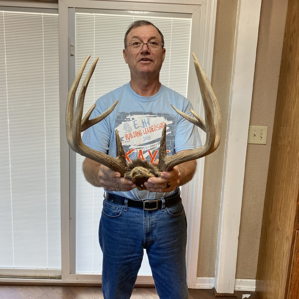 Beautiful Wild 146” Whitetail Deer Antler Rack Horn Man Cave Sheds ...
