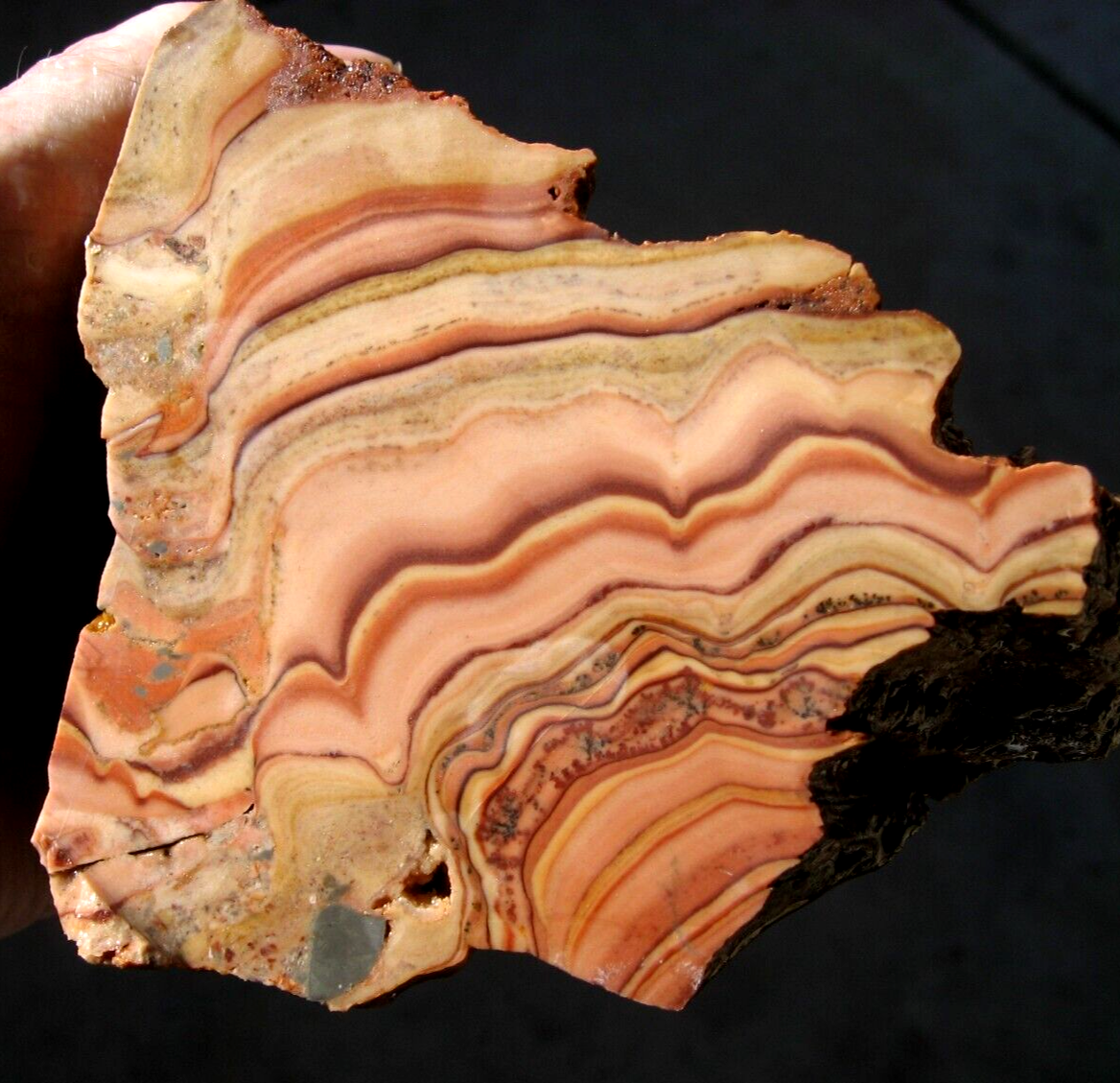 Travertine Rock Veneer Stone Arctic Travertine Elevates Architectural