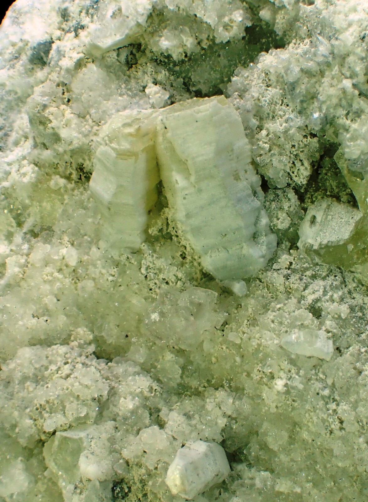 LARGE WELOGANITE Crystals Fine Mineral Specimen MONTREAL Francon Quarry ...