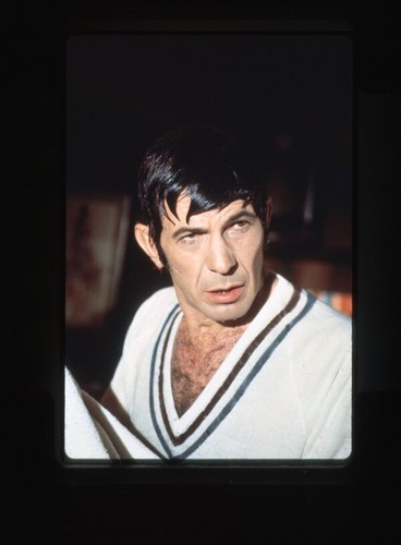 Leonard Nimoy Baffled Sexy Hairy Chest Pose Original 35mm Transparency ...
