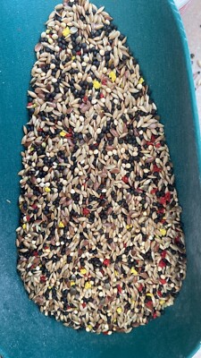 SkyGold Popular Canary & Finches AVIARY Bird Food Seed Mix 1,2,4 & 5kg ...