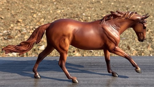 Breyer BreyerFest 2019 Hal Australian Stock Horse Hal Dundee Store ...