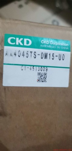 NEW DD MOTOR AX4045TS-DM15-UO (by Fedex or DHL) | eBay